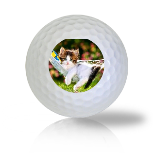 Cat Golf Balls - Halfpricegolfballs.com– Half Price Golf Balls